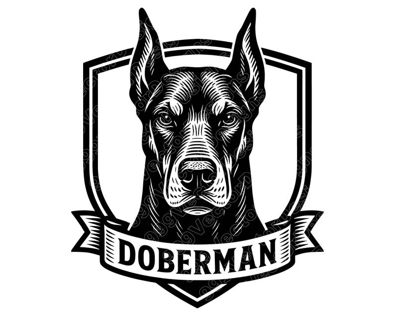 Doberman Pinscher Head Vector Art: SVG, PNG, JPG (digital Download) - Etsy