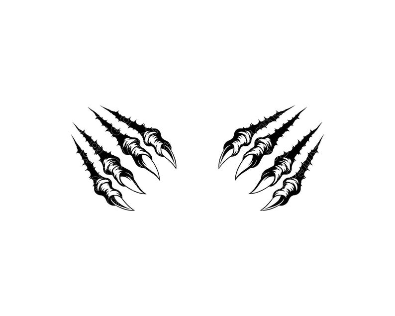 Claw Marks Vector Illustration: Animal Scratch Art (SVG, PNG, JPG) - Etsy