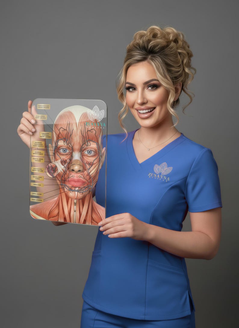 Aesthetics Clinic Facial Anatomy Diagram Board 5mm Acrylic Perspex ...