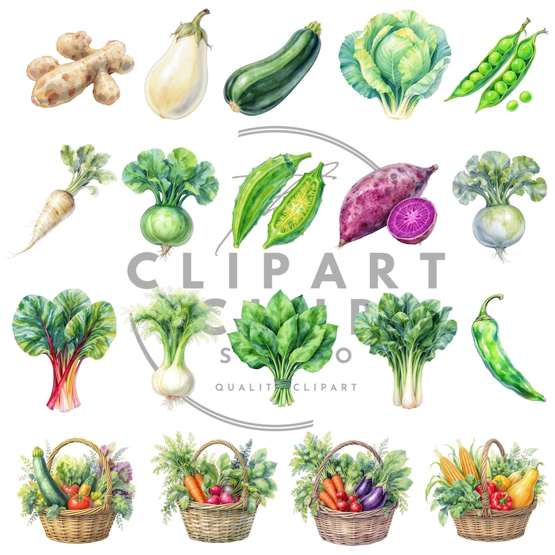 Watercolor Vegetables Clipart PNG Set | Premium Veggie Clipart | Farm ...