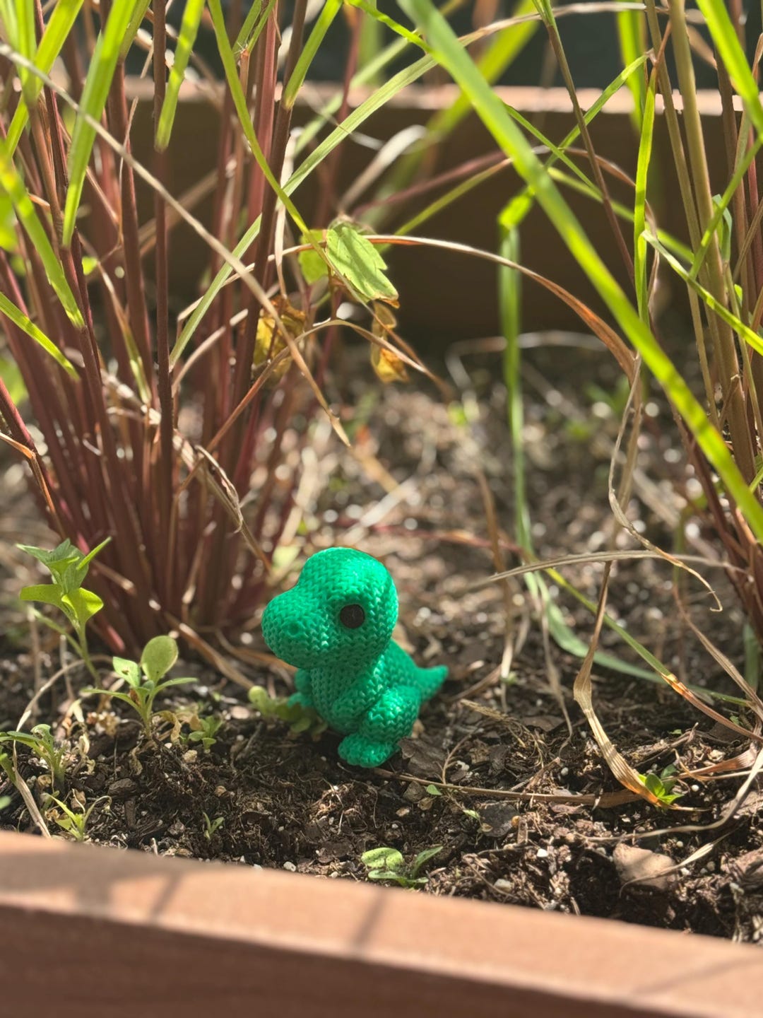 3D Printed T-rex Dinosaur Desk Buddy - Etsy Canada