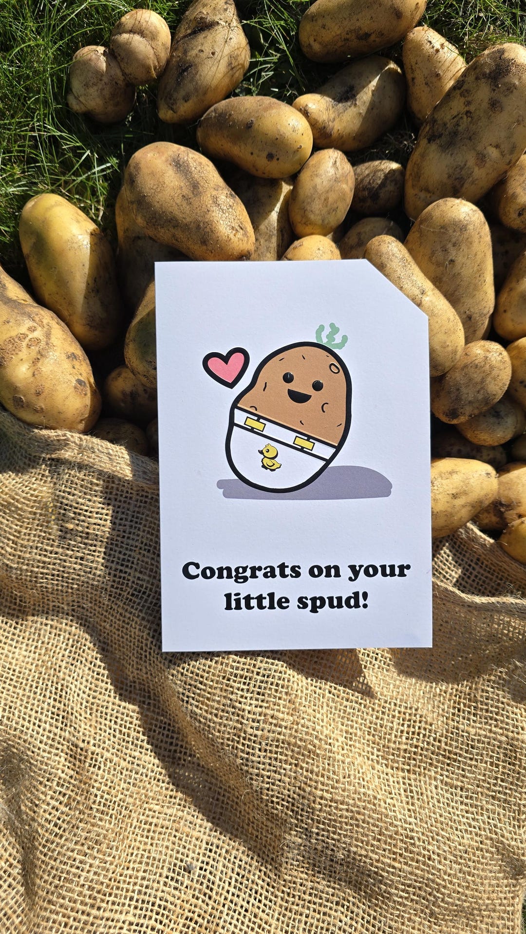 Braille 'congrats on Your Little Spud!' Card - Dot & Type - Etsy