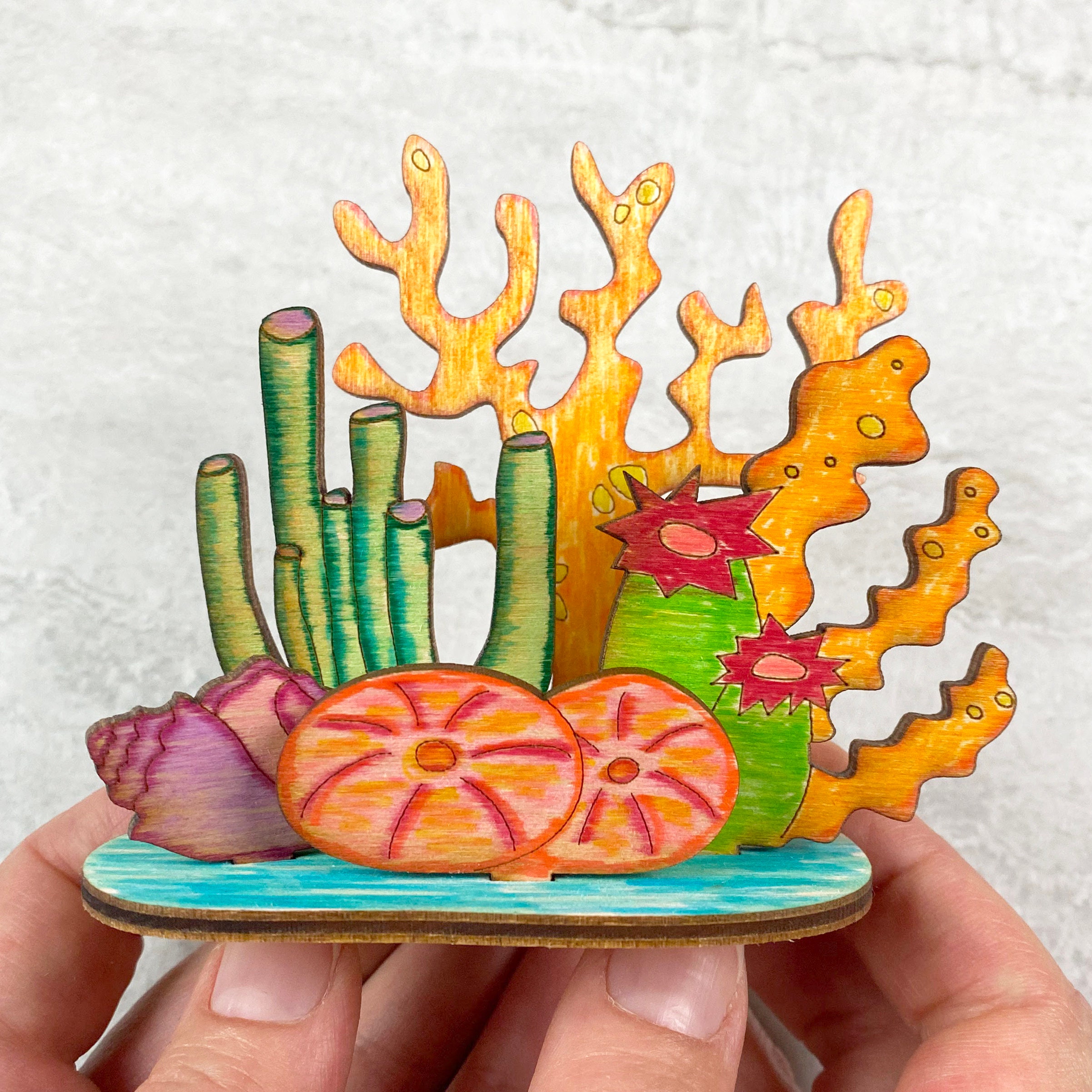 Coral Reef Diorama Kit - Etsy