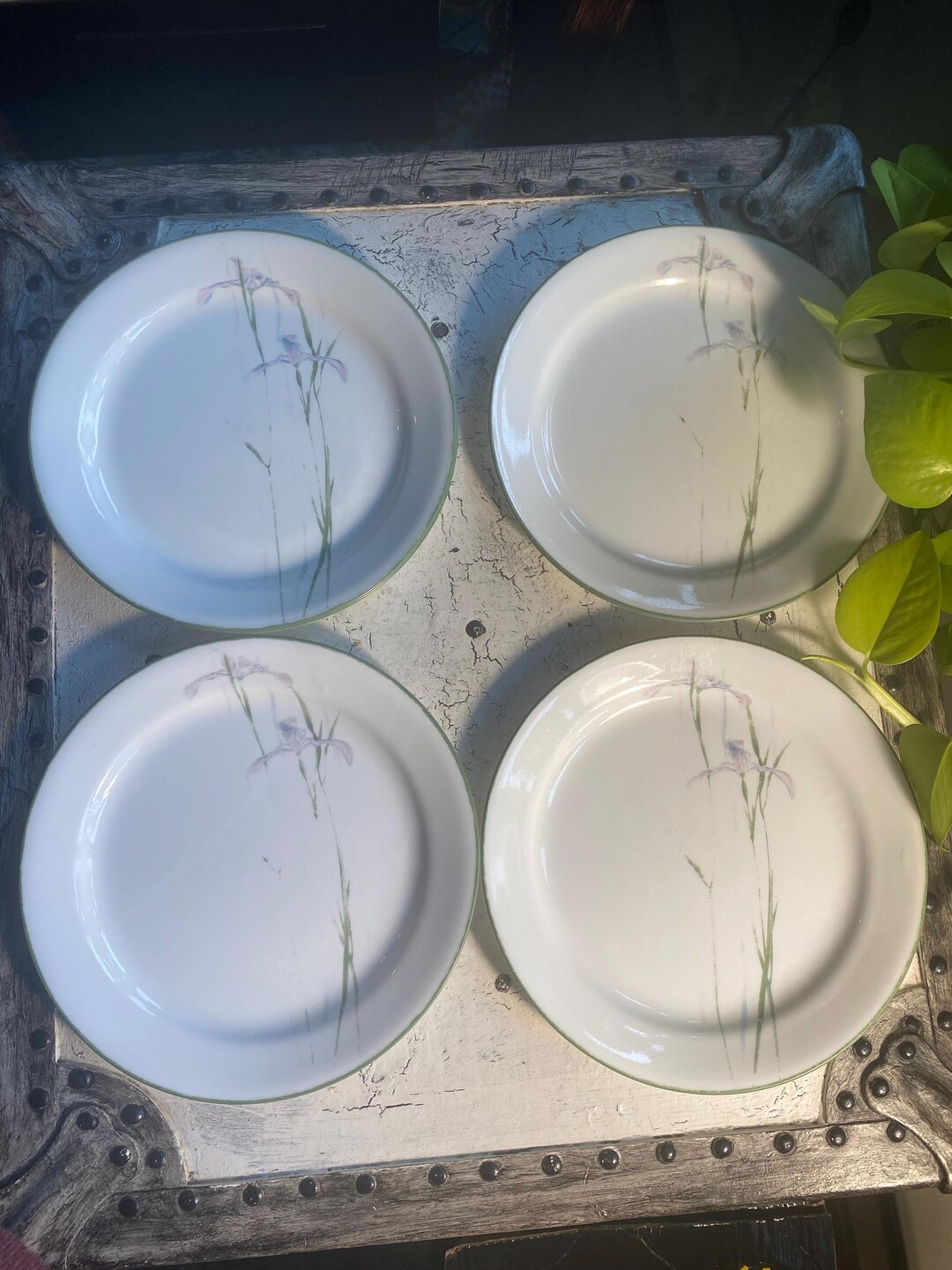 4 Shadow Iris Corelle Luncheonplates 9"*** Fading on Plates - Etsy