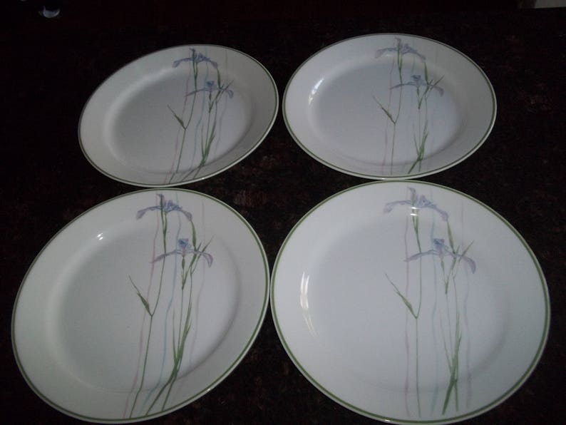 Corelle Dinner Plates Shadow Iris at Amanda Litherland blog