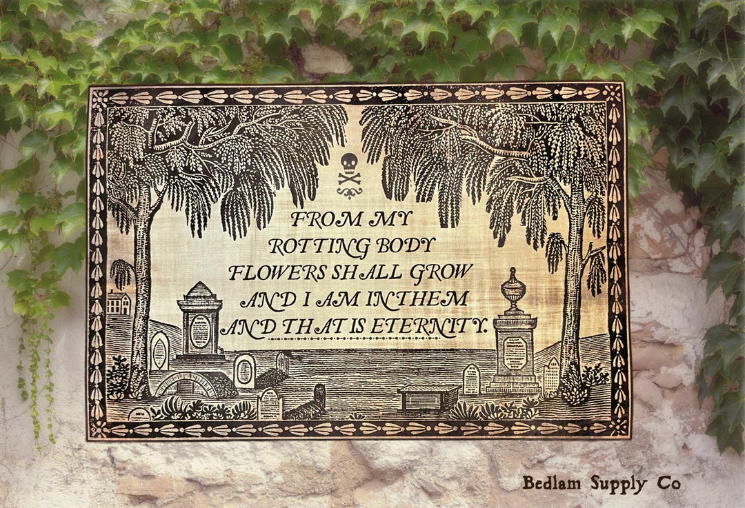 From My Rotting Body - Print - Etsy