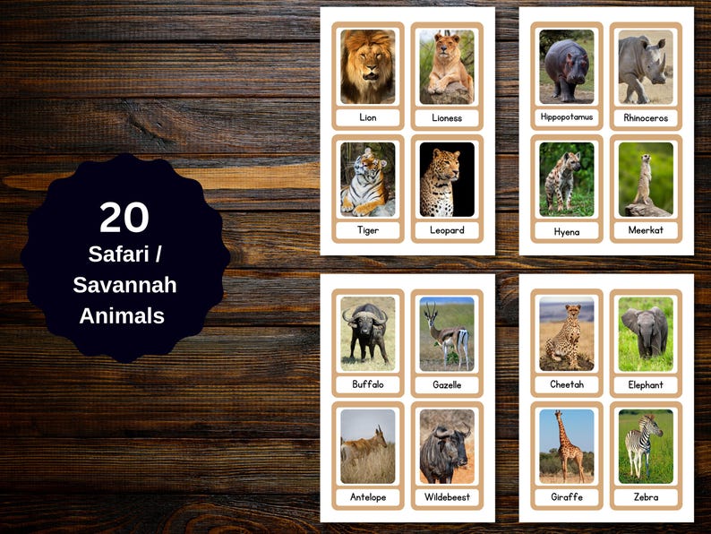 Printable Animal Flashcards - Etsy