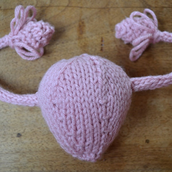 Knitted Uterus - Etsy