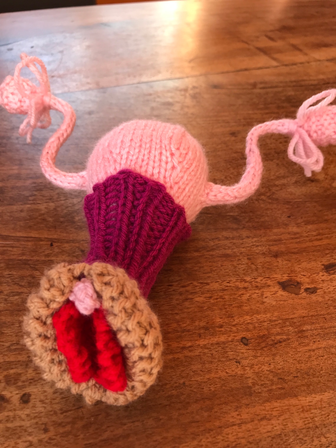 PDF knitting pattern for female reproductive system | Etsy