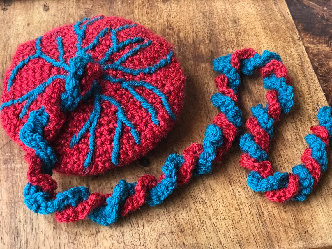 Placenta Model Crochet Pattern | Etsy