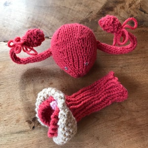 Knitted Male and Female Reproductive Organs Set | Etsy