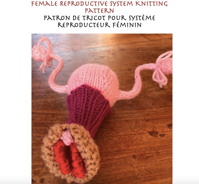 PDF knitting pattern for female reproductive system | Etsy