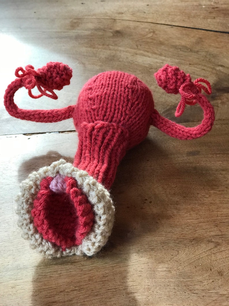 Knitted Male and Female Reproductive Organs Set - Etsy