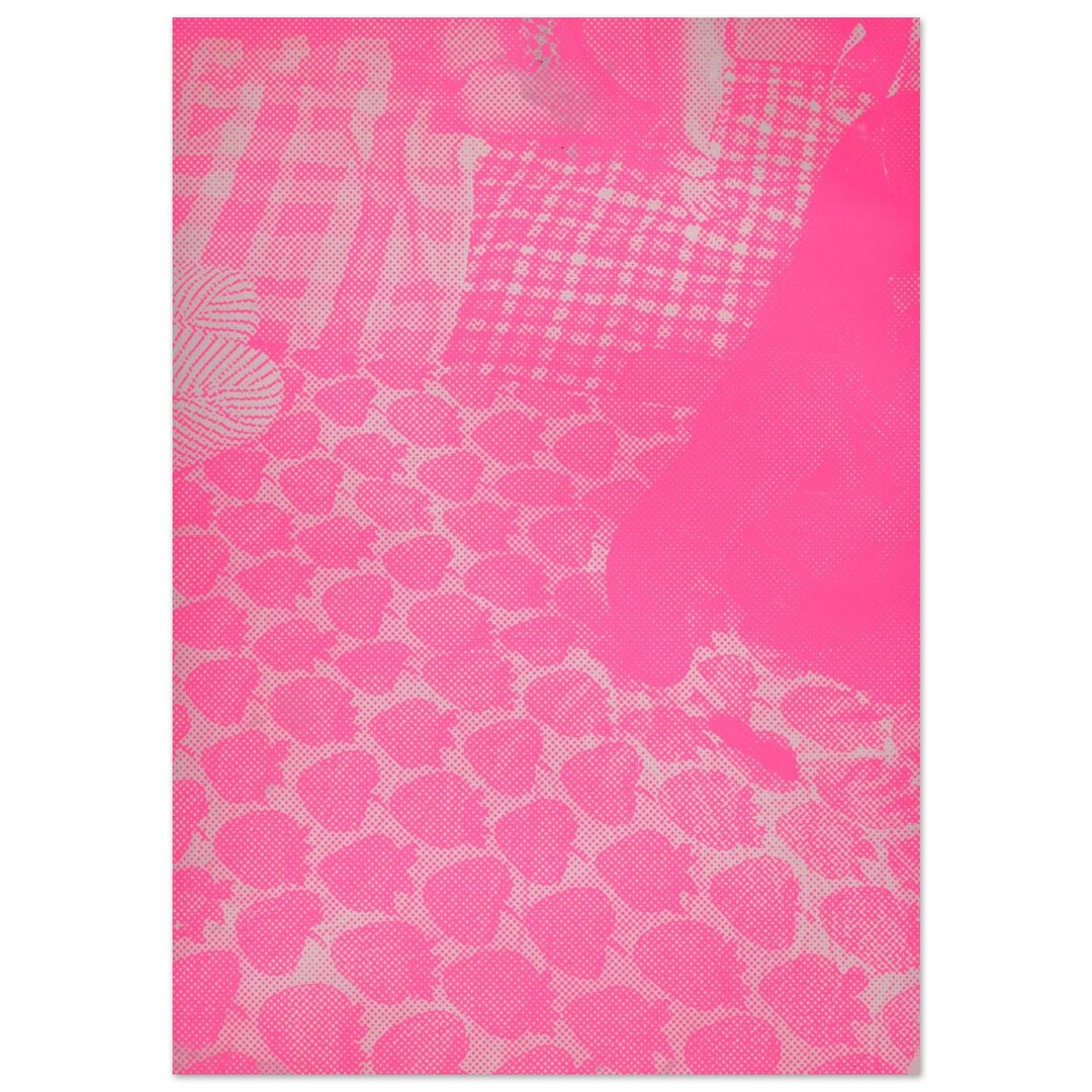 Kira at the Beach on Her Strawberry Blanket, in Pink, Premium Matte ...
