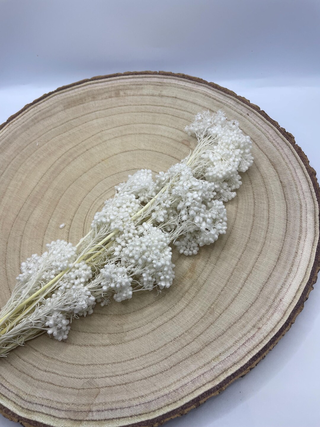 Bunch Dried White Rice Flowers - Etsy