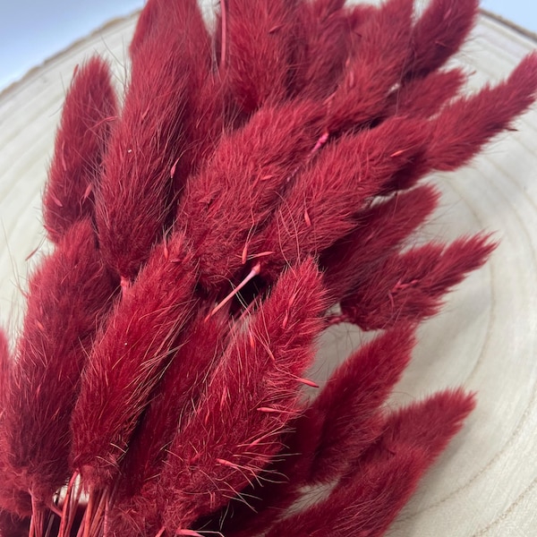 Burgundy Bunny Tails - Etsy UK
