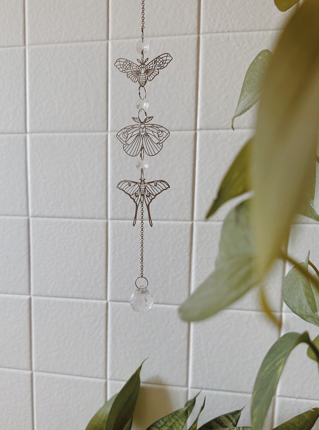 Moth Collector. a Bohemian Silver Moth and Glass Crystal Prism - Etsy