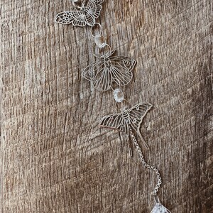 Moth Collector. a Bohemian Silver Moth and Glass Crystal Prism Rainbow ...