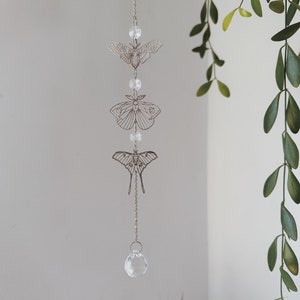 Moth Collector. a Bohemian Silver Moth and Glass Crystal Prism Rainbow ...