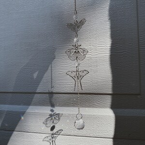 Moth Collector. a Bohemian Silver Moth and Glass Crystal Prism Rainbow ...