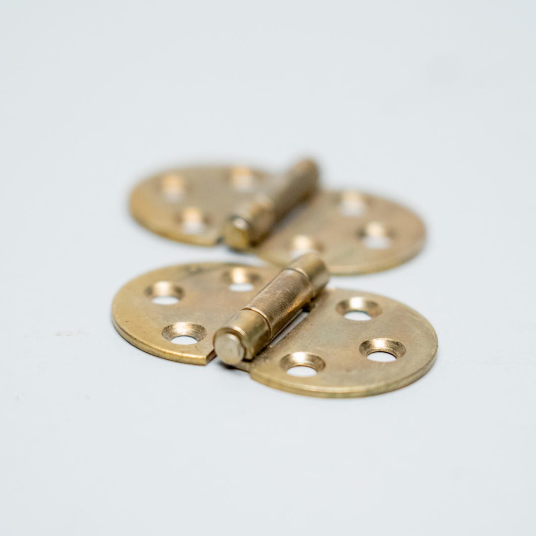 1950 Pair Small Round Brass Hinges - Etsy