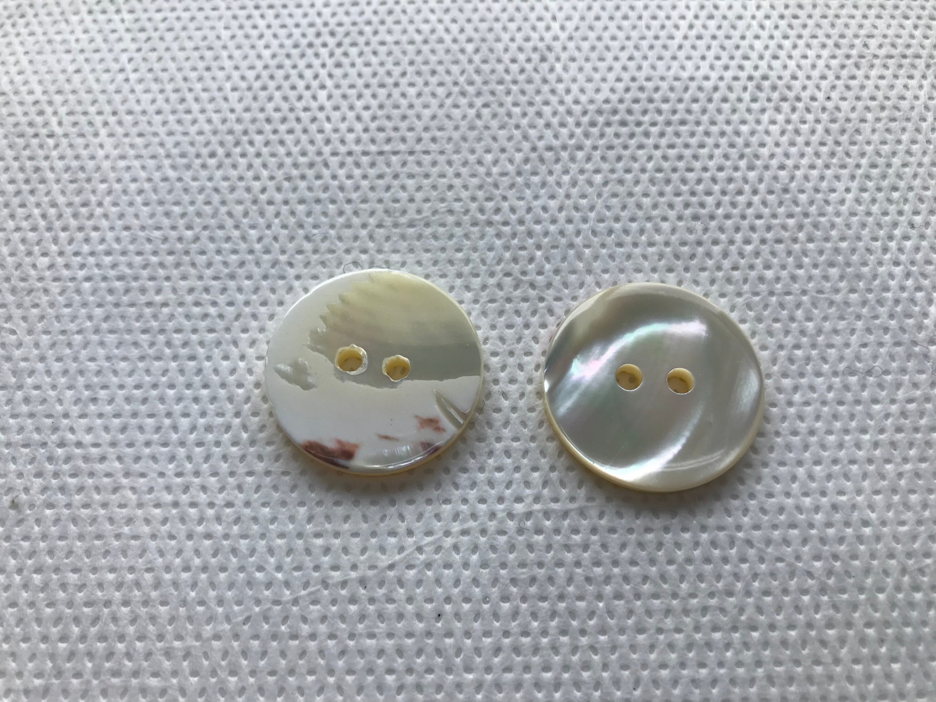 Natural Mop Shell Buttons. 2 hole Real Shell 4 Sizes | Etsy