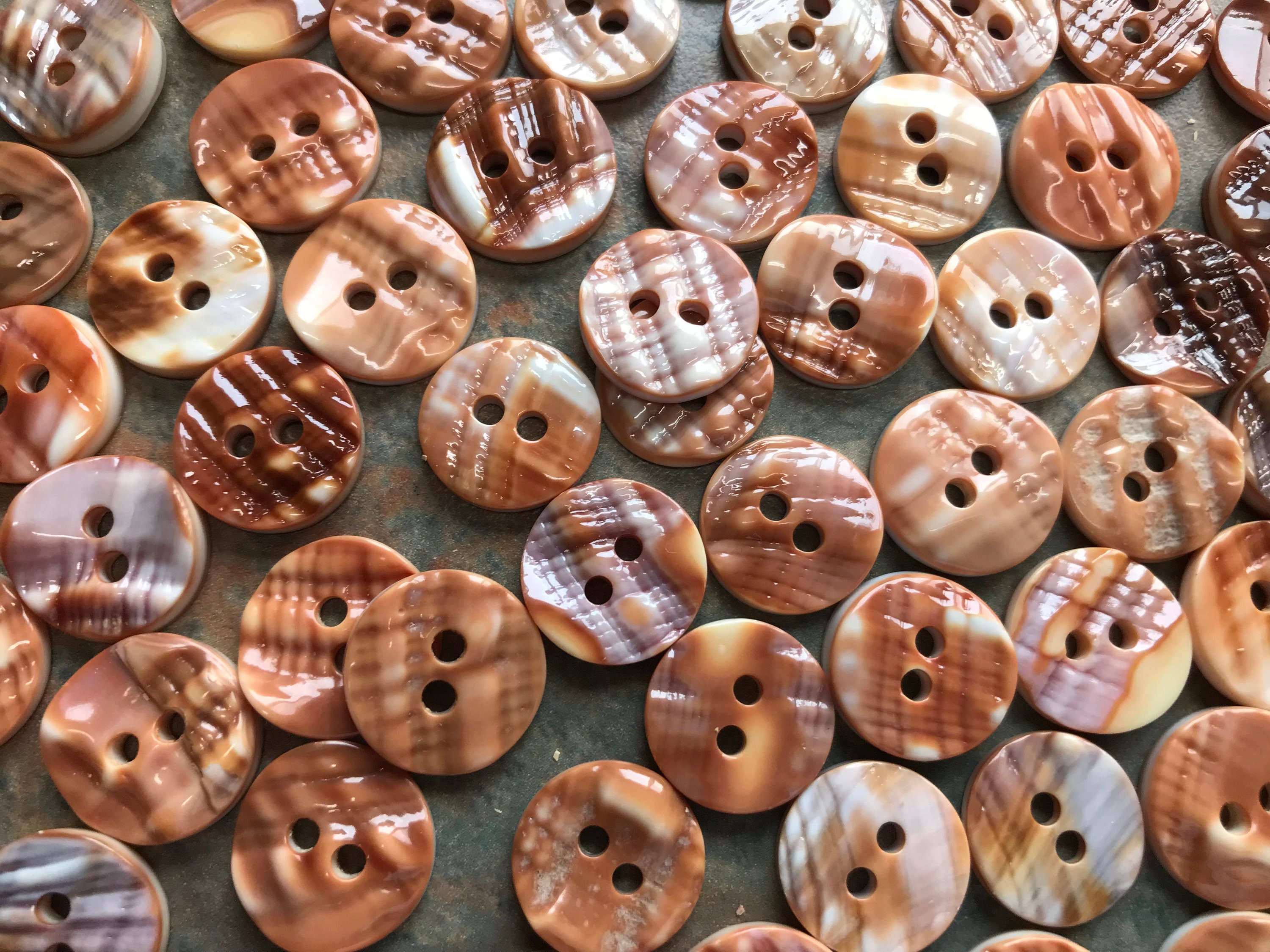 Conch shell buttons Orange varigated surface 2 hole Buttons | Etsy