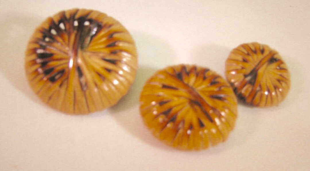 Bamboo Button Lot of 2 .(vintage) 3 Sizes Extra Large Natural Buttons ...