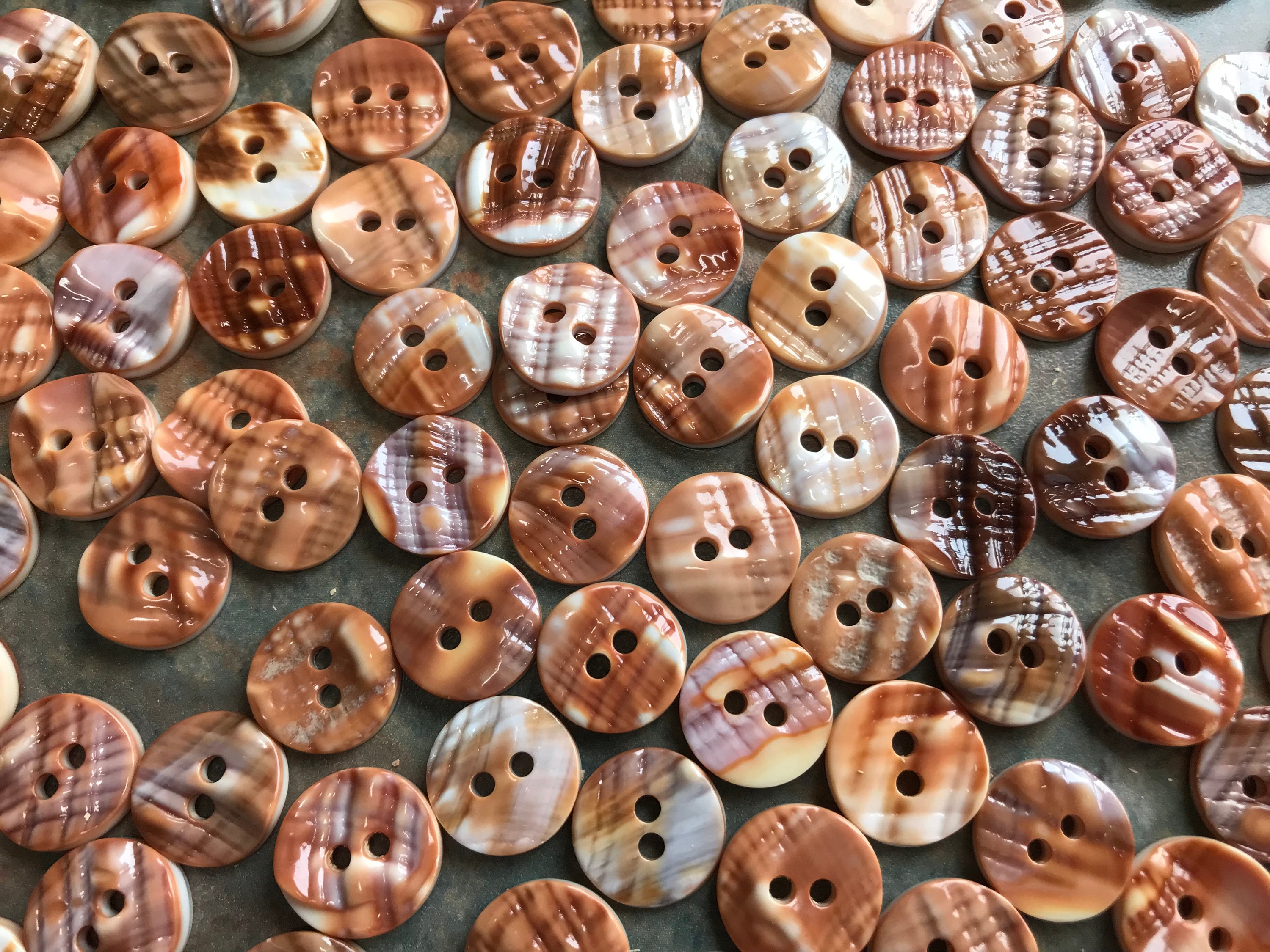 Conch shell buttons Orange varigated surface 2 hole Buttons | Etsy