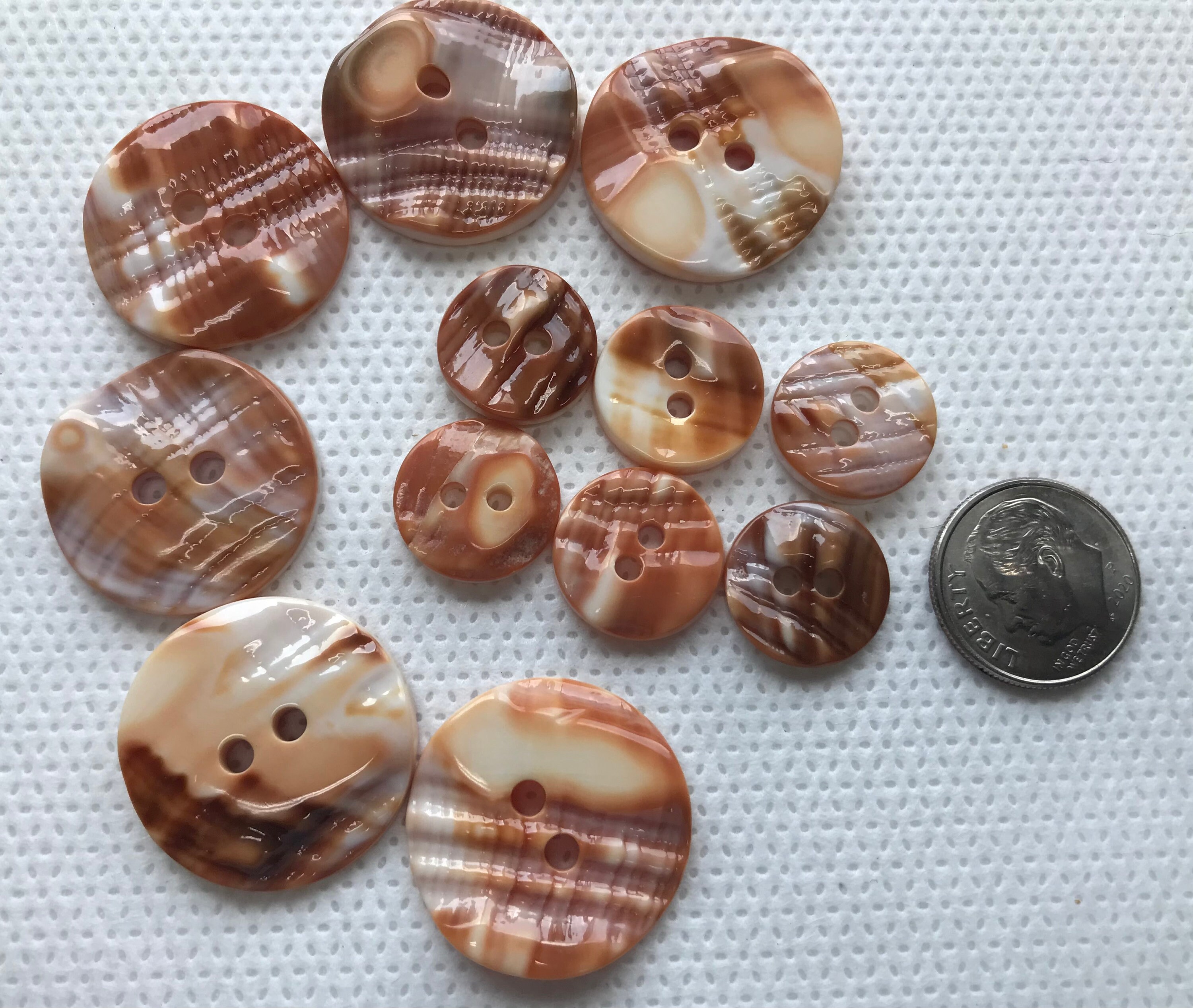 Conch shell buttons Orange varigated surface 2 hole Buttons | Etsy