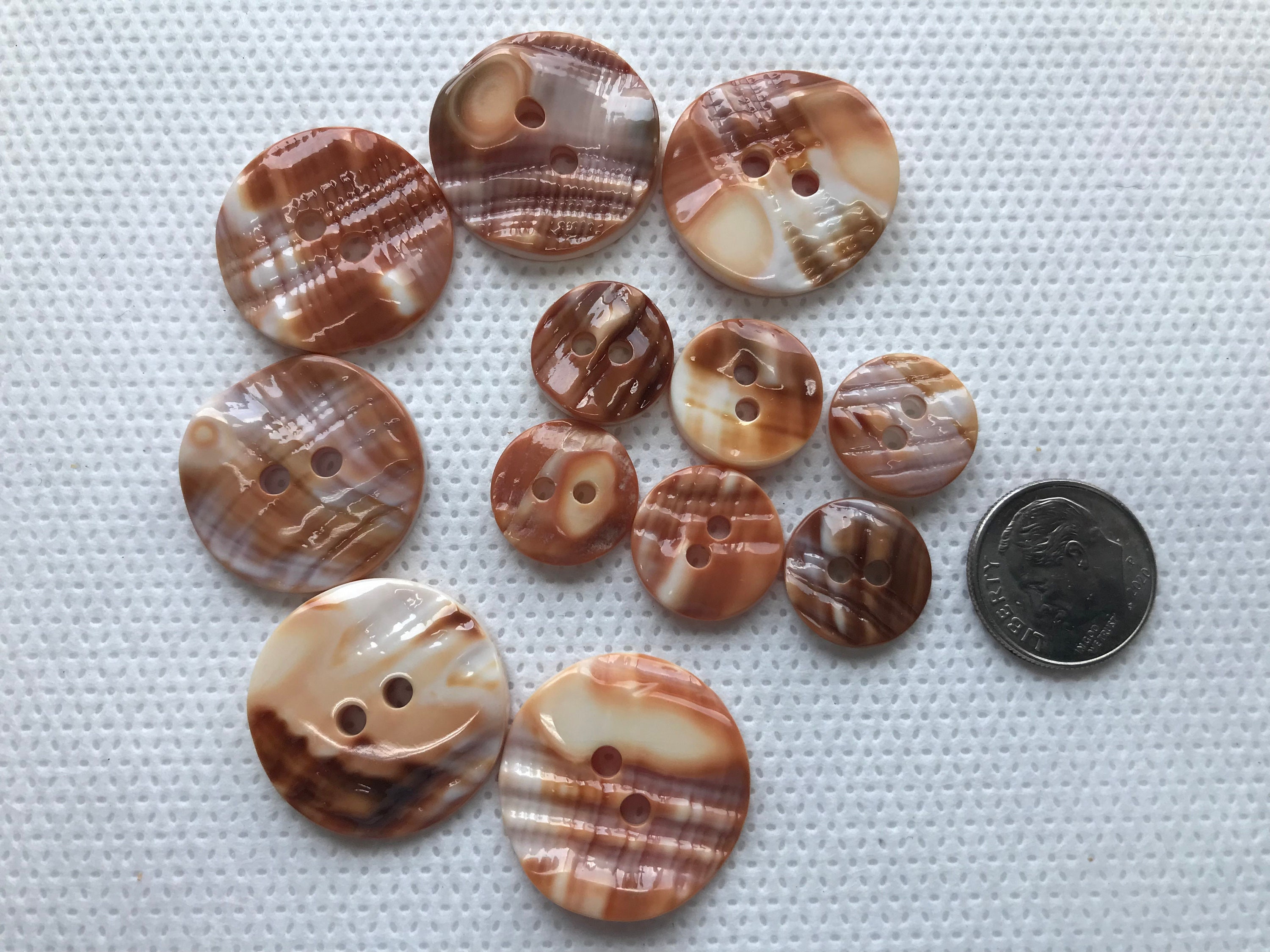 Conch shell buttons Orange varigated surface 2 hole Buttons | Etsy