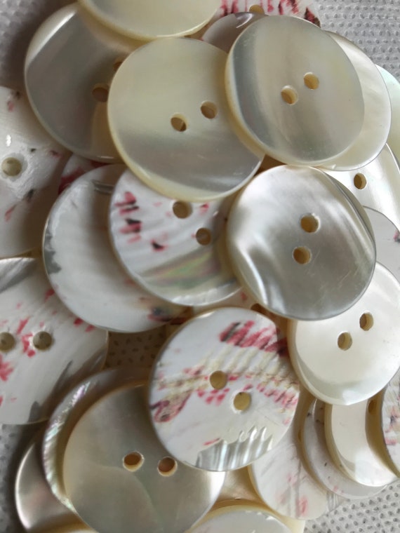 Natural Troca Shell Buttons. 2 hole Real Shell 4 Sizes | Etsy