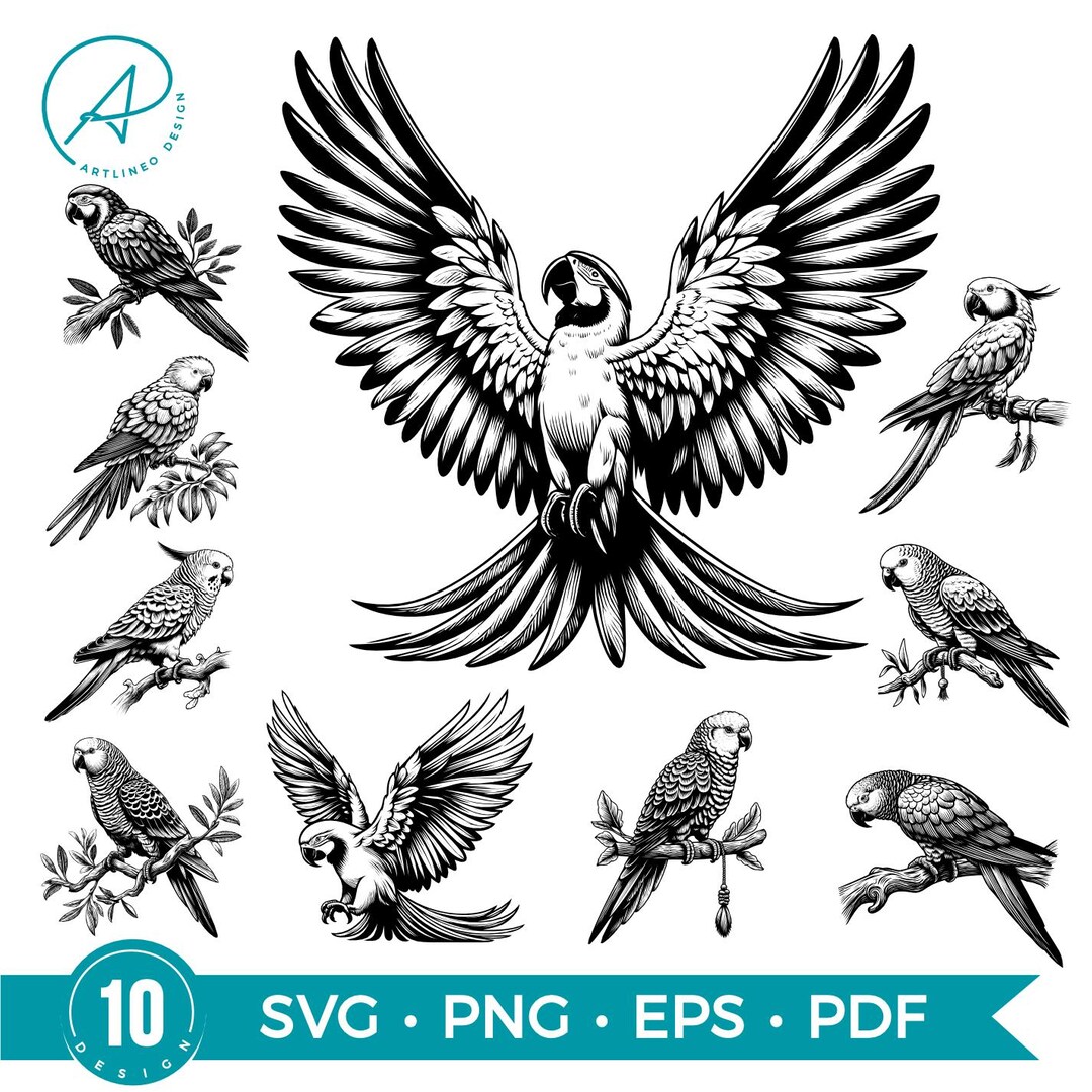 Vintage Parrot SVG Bundle : Macaw & Parakeet Line Art Illustrations ...