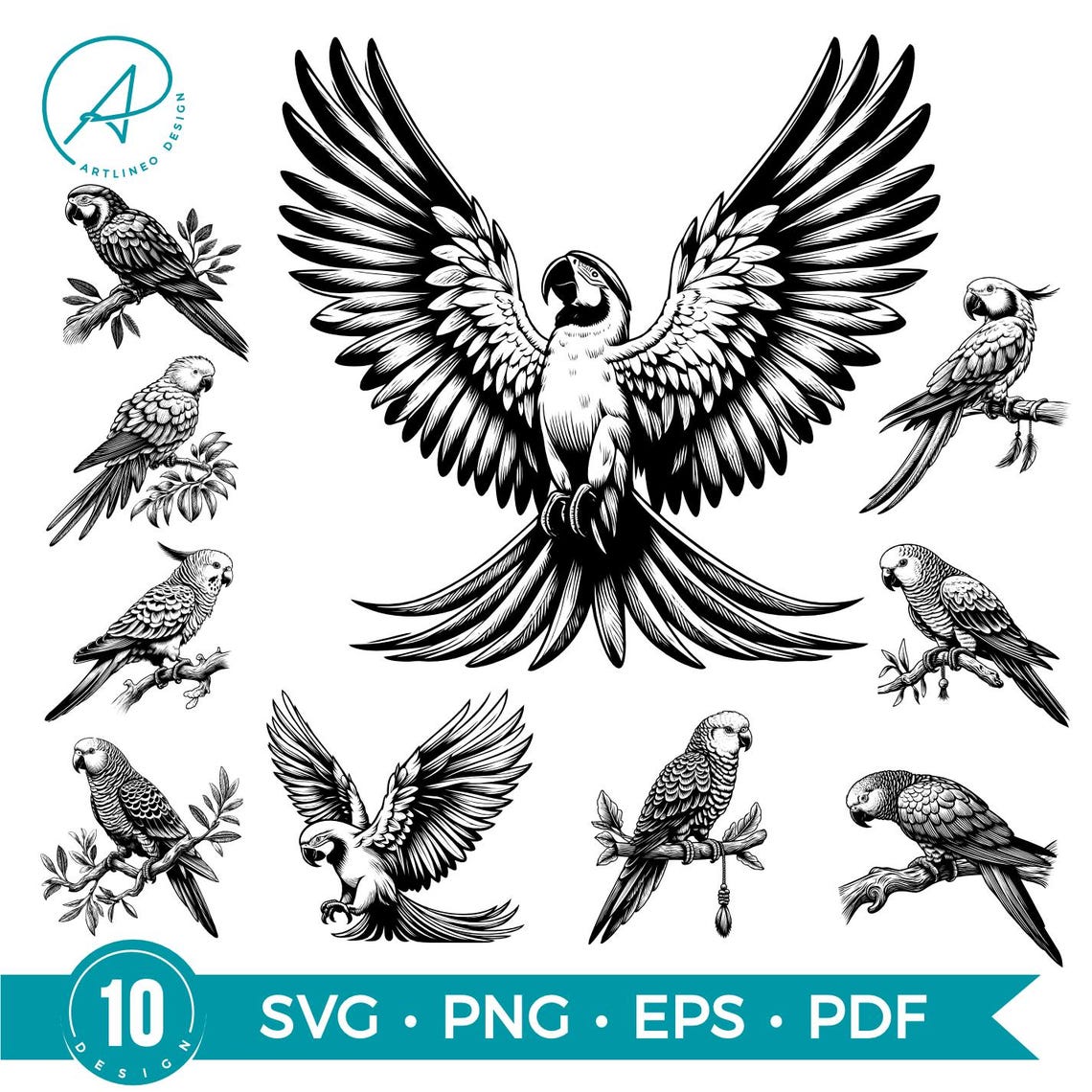 Vintage Parrot SVG Bundle : Macaw & Parakeet Line Art Illustrations ...