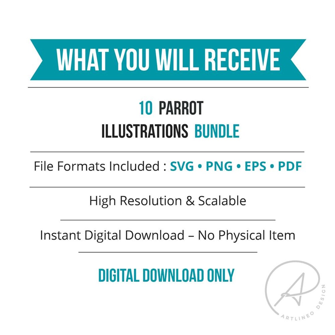 Vintage Parrot SVG Bundle : Macaw & Parakeet Line Art Illustrations ...