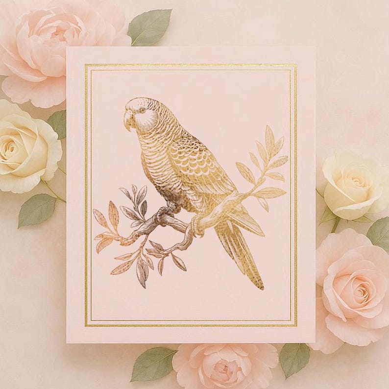 Vintage Parrot SVG Bundle : Macaw & Parakeet Line Art Illustrations ...