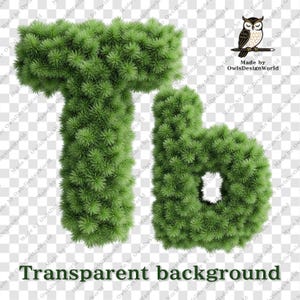 Evergreen Fluffy Alphabet PNG, Green Furry Letters Upper & Lower A–Z ...