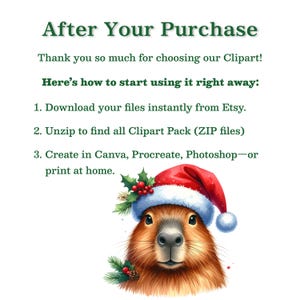 25 Christmas Capybara Clipart PNG Bundle, Cute Holiday Animals With ...