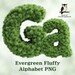 Evergreen Fluffy Alphabet PNG, Green Furry Letters Upper & Lower A–Z ...