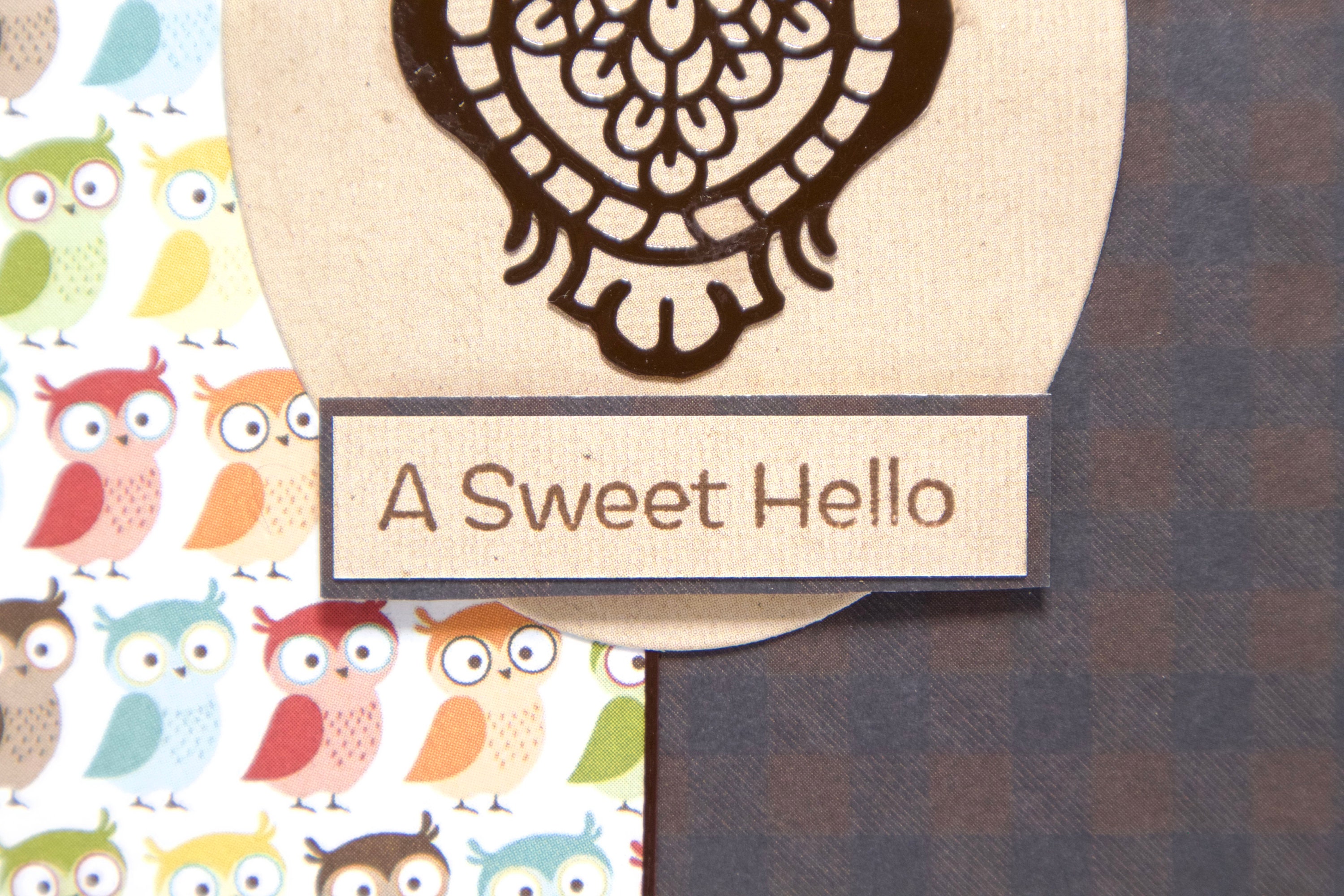 Hello Card Owl Card All Occasion Card Sweet Hello Card - Etsy