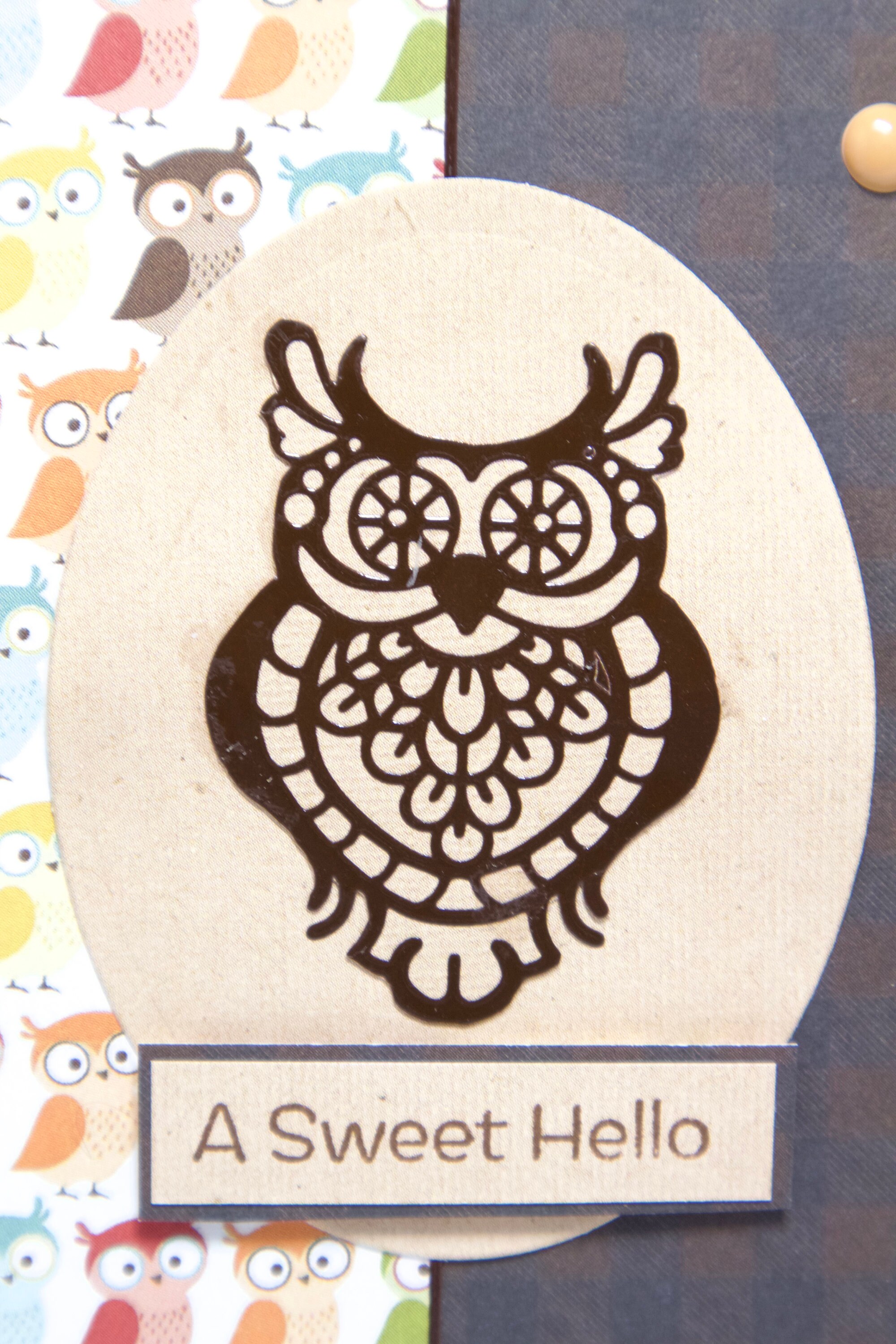 Hello Card Owl Card All Occasion Card Sweet Hello Card - Etsy