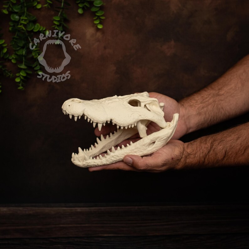 Nile Crocodile Skull Replica: 9" Bone PLA Fossil Model, Gothic Home ...