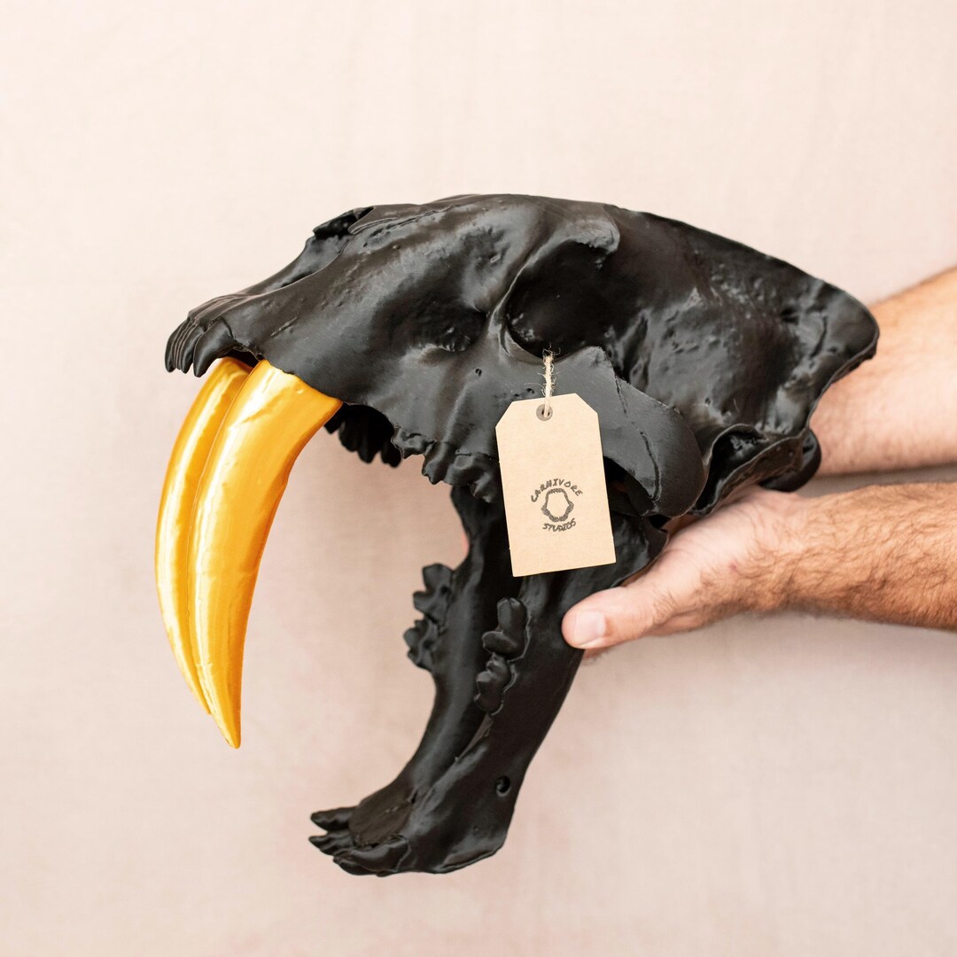 Black & Gold Sabertooth Skull Replica: Gothic Fossil Decor - Etsy UK