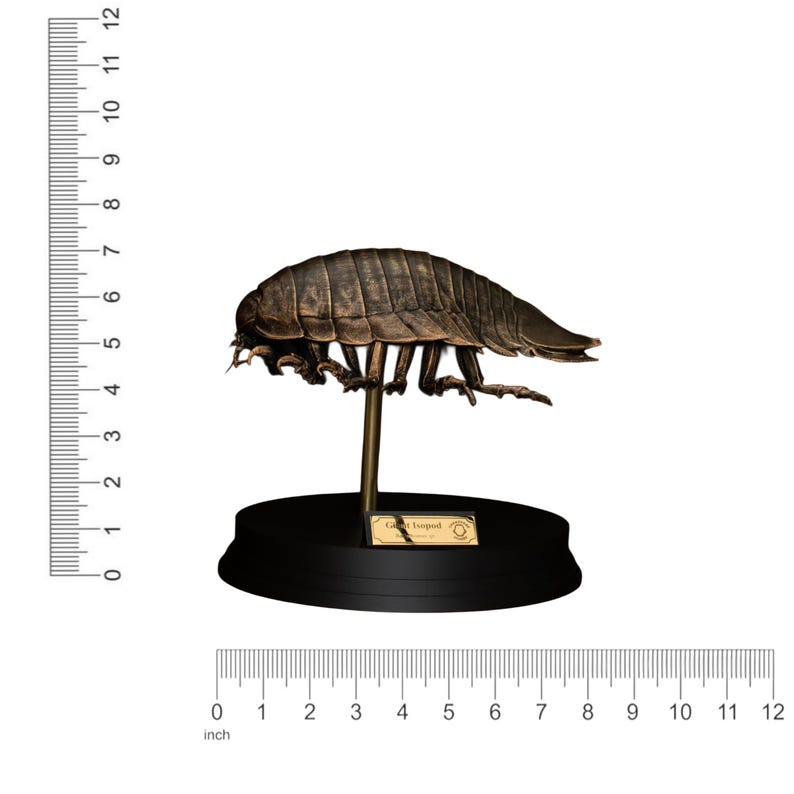 Giant Marine Isopod Replica 200mm | Bronze Effect Deep Sea Collectable ...