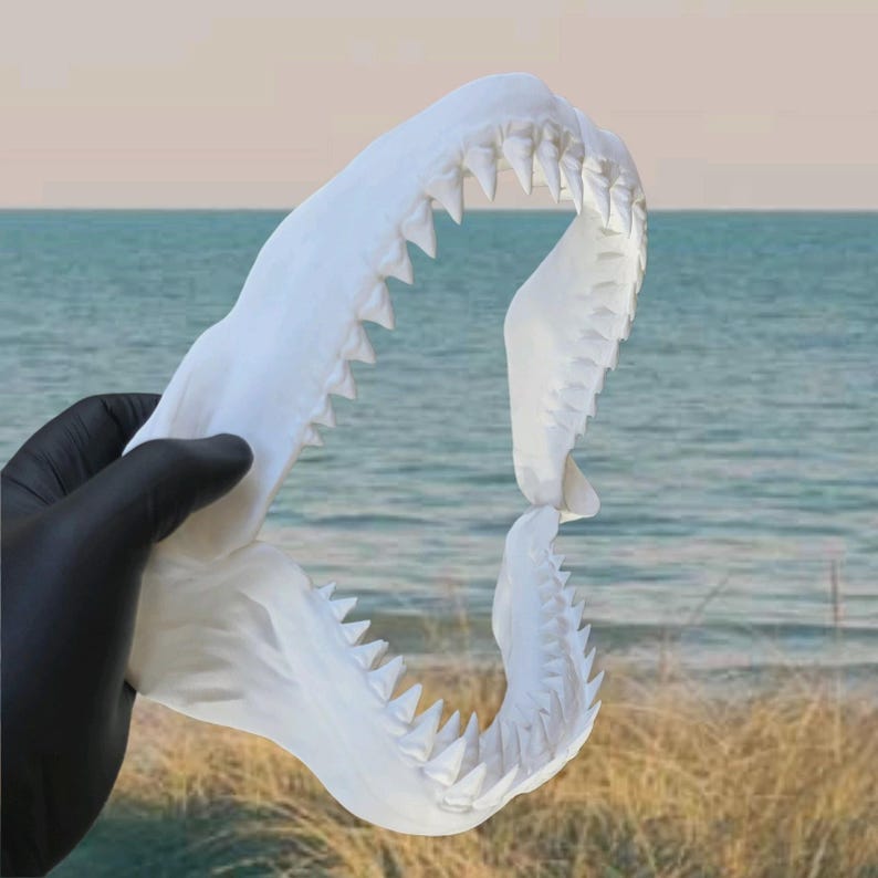 3D Printed Shark Jaw Replica: DIY Assembly, Unpainted PLA Model - Etsy