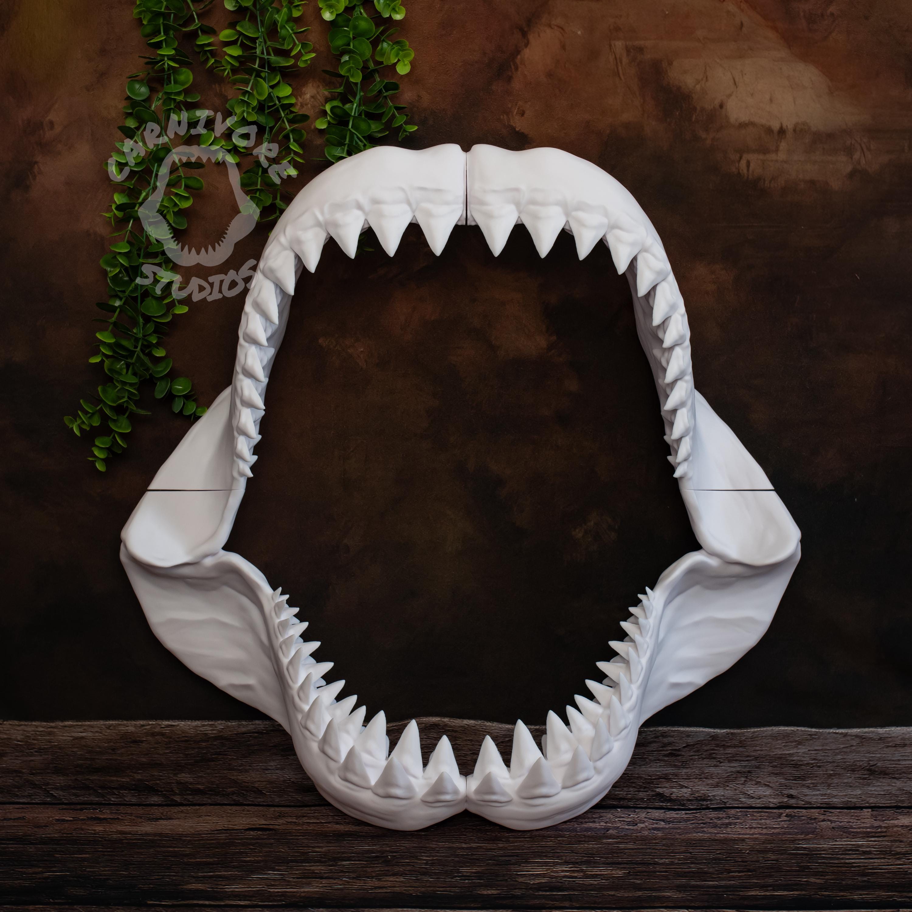 White Shark Jaw Replica, Megalodon Skull, 3D Printed Self-assembly Kit ...