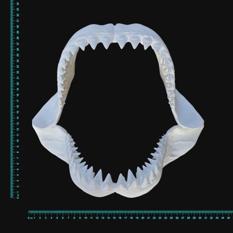 3D Printed Shark Jaw Replica: DIY Assembly, Unpainted PLA Model - Etsy