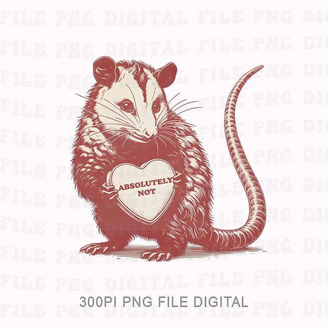 Possum Valentines Png, Funny Valentine Png, Absolutely Not Opossum Meme ...