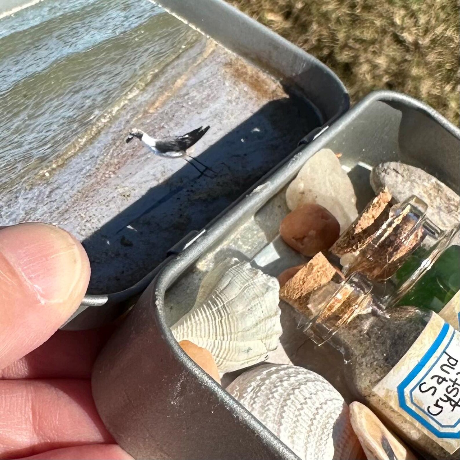 Metal Tin Crystal Beach Diorama With Natural Souvenirs - Etsy