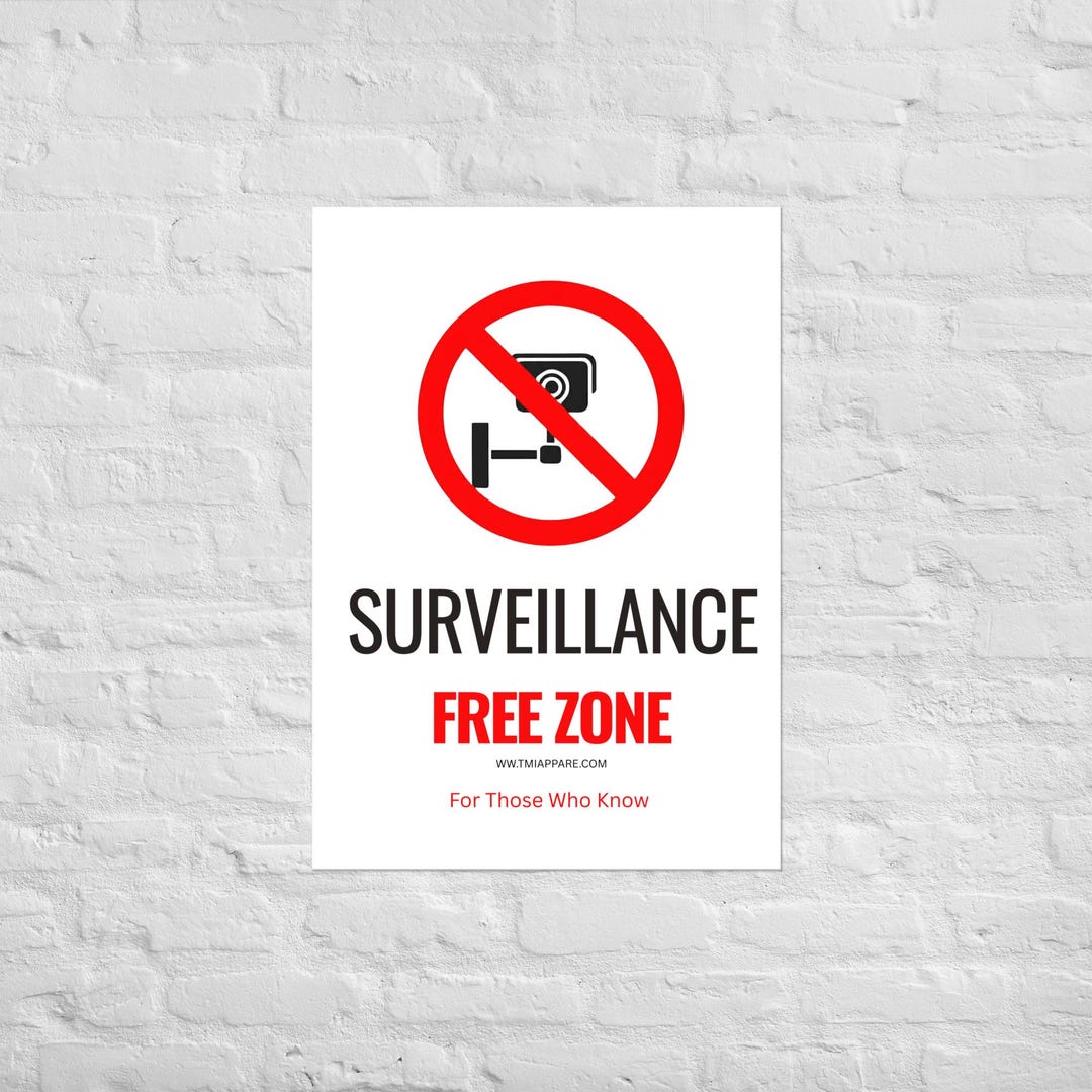 Surveillance Free Zone Poster - Etsy
